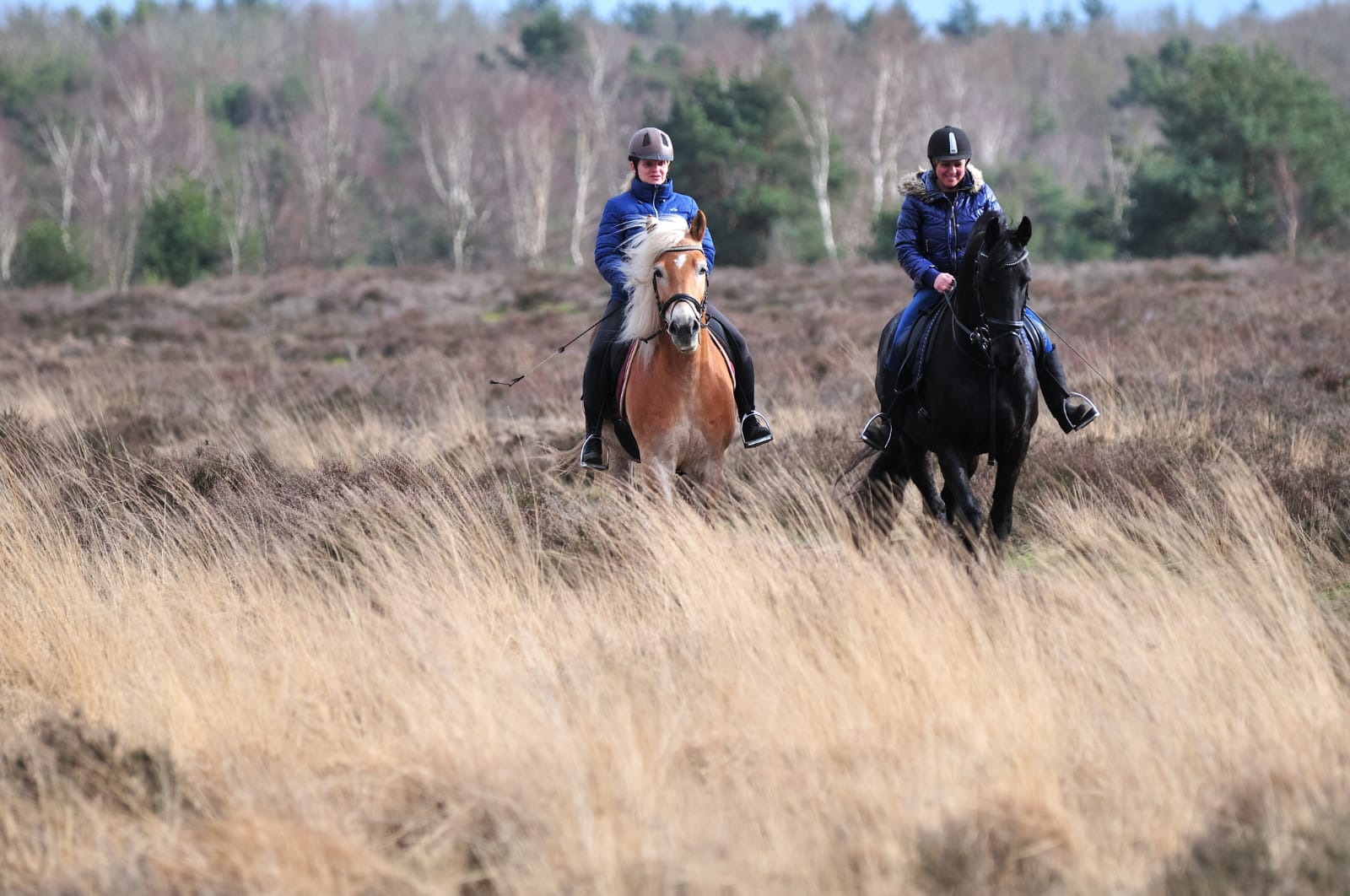 Paard rijden - Manege het Hoefke